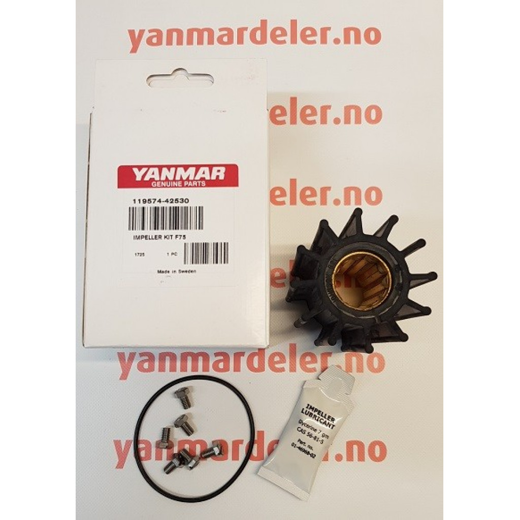 IMPELLER KIT - Yanmardeler